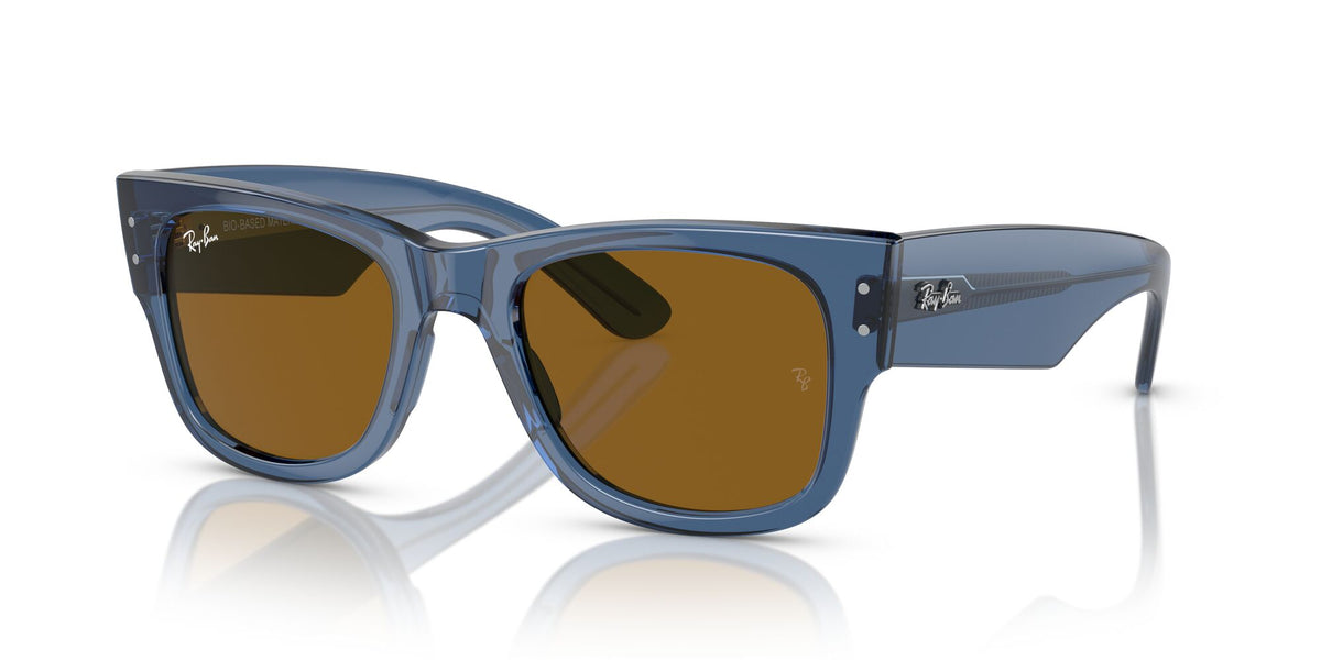 Ray-Ban Mega Wayfarer 0RB0840SF 668073 52 Transparent Blue/ Brown ...